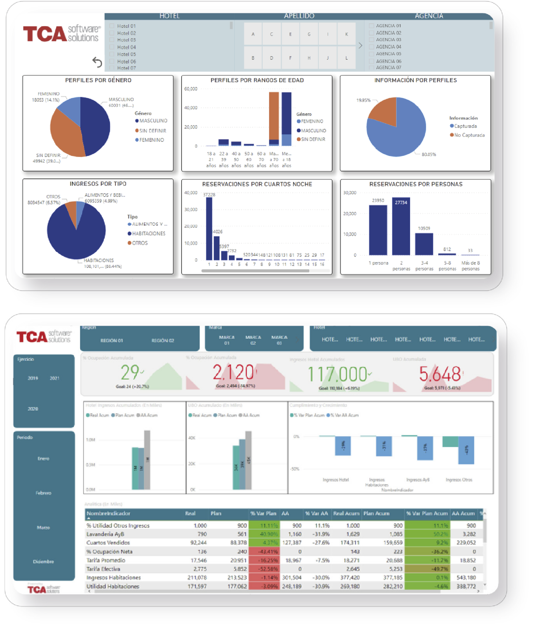 Innsist Analíticos español – TCA Software Solutions